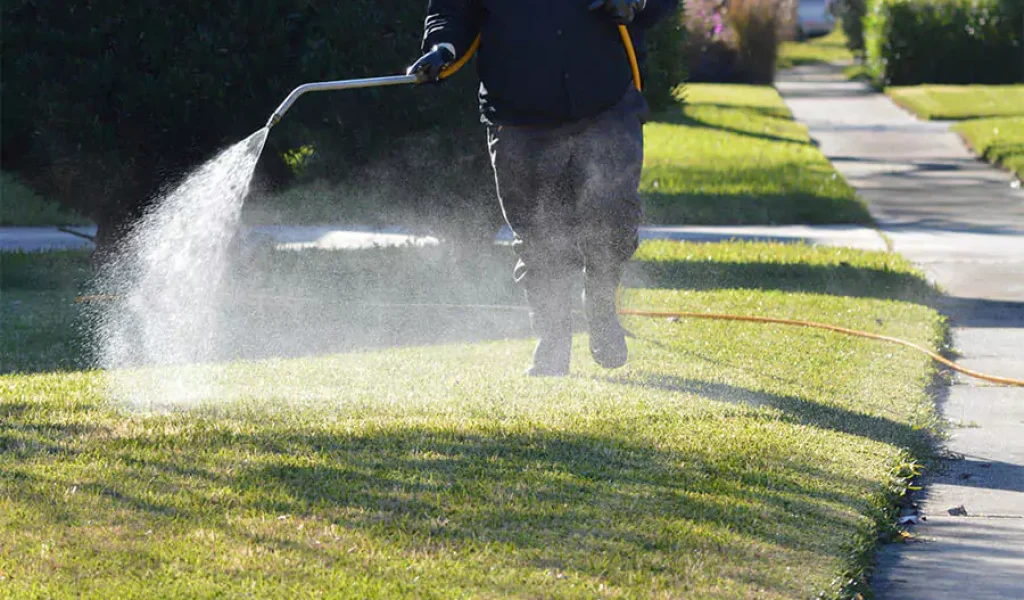 Expert Tips About Lawn Care Solutions In Indianapolis, IN