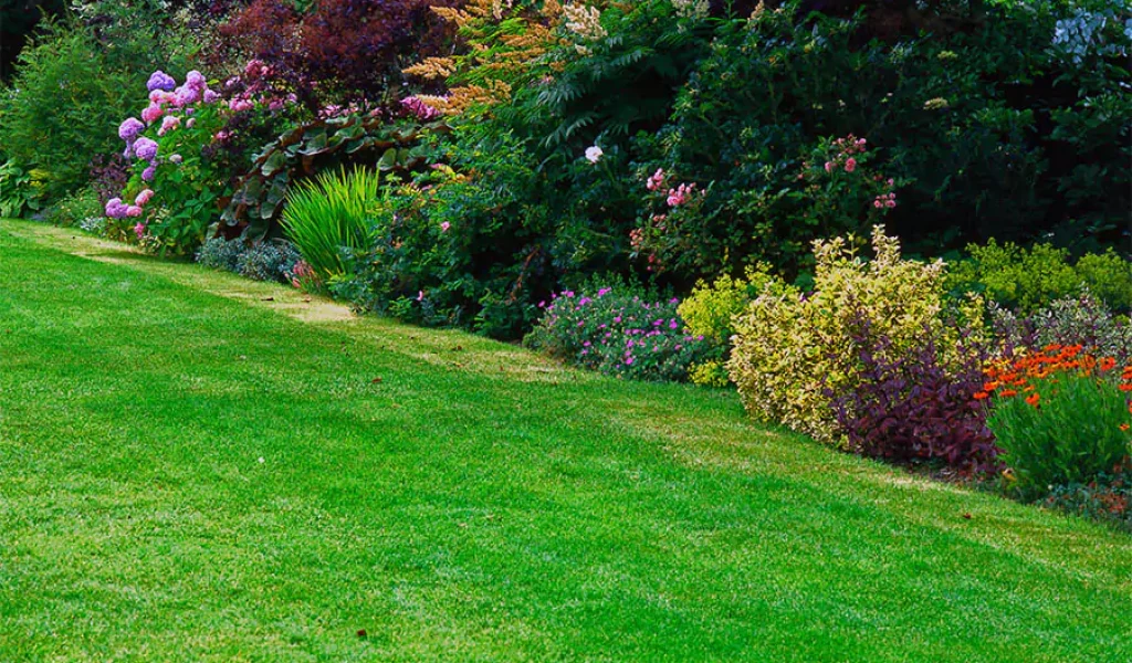 Mastering Indianapolis Lawn Care: A Comprehensive Guide