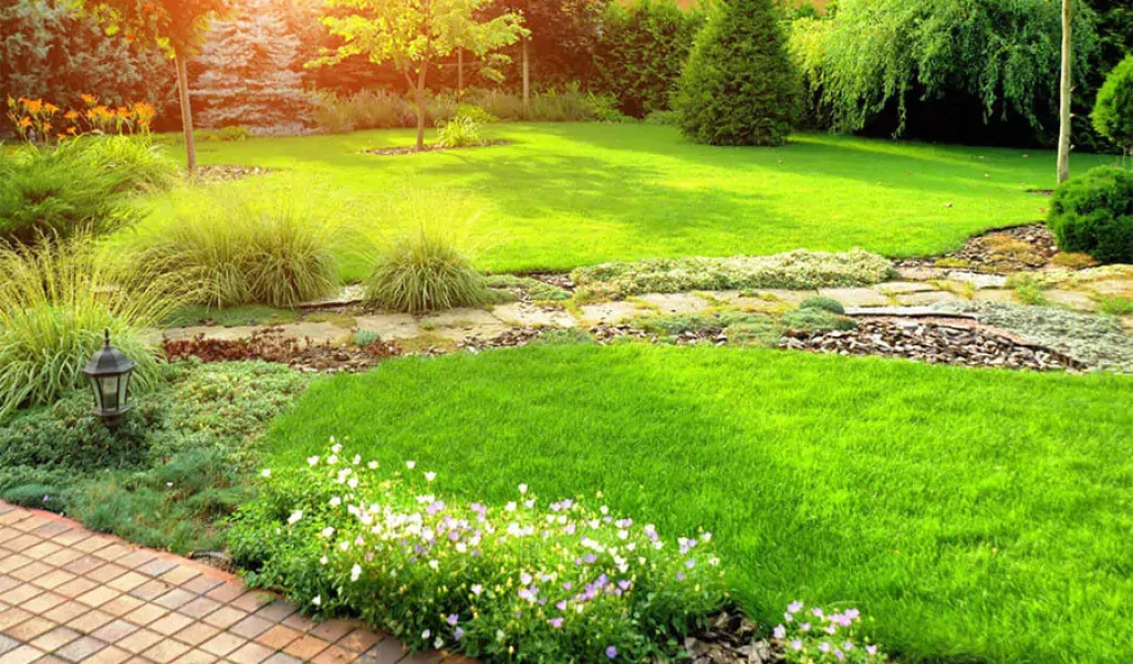 Your Guide To Perfect Lawn Care: Essential Tips & Services
